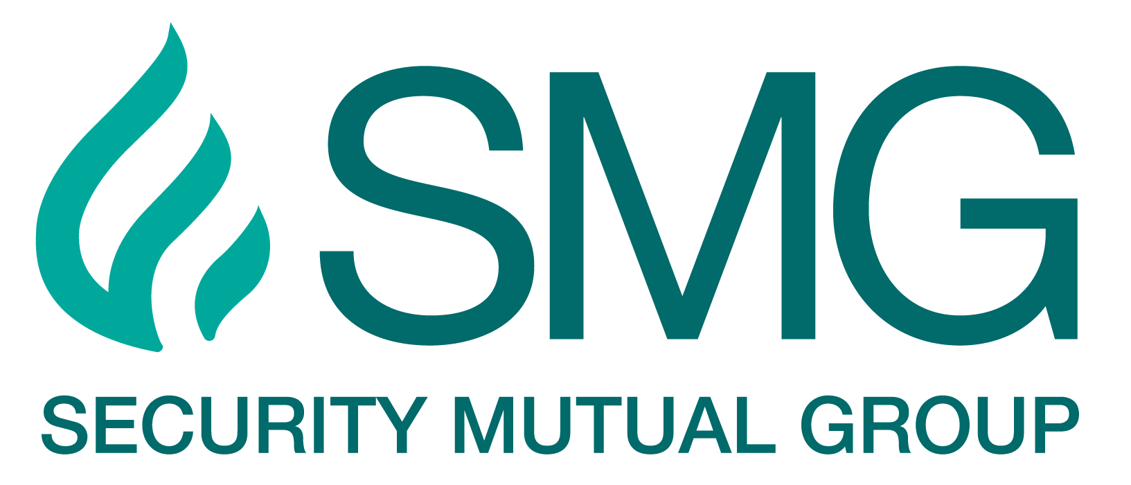 SMG Ting Press Release - vipHomeLink